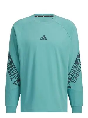 Adidas Wording Pack Loose Fit Long Sleeve T-shirt - Blue