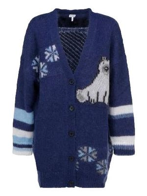 LOEWE Loewe SS21 Large Multi-Color Cardigan