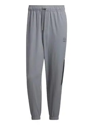 ADIDAS Adidas Neo Track Pants 'grey'