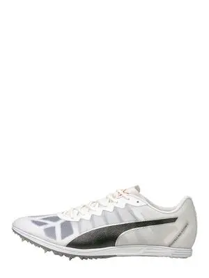 PUMA PUMA Evospeed Sport Shoes Grey/black