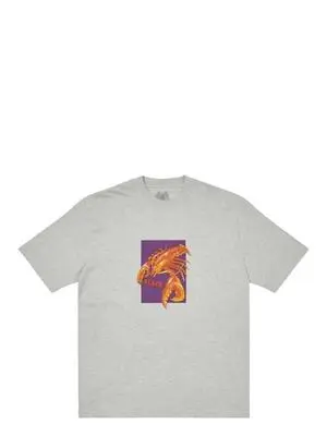 PALACE Fw22 Thermadore T-shirt - Grey