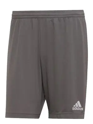 Adidas Entrada 22 Shorts - Grey