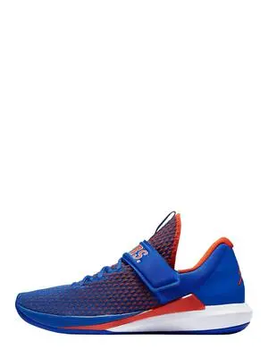 JORDAN Air Trainer 3 "florida Gators - Blue
