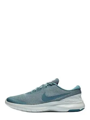 Nike Nike Flex Experience RN 7 Low Top Sneakers Blue/white