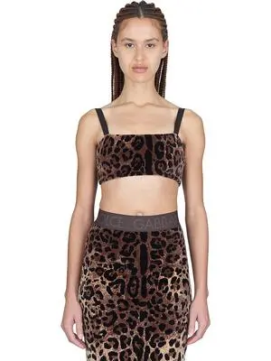 Dolce & Gabbana Leopard Print Crop Top - Brown