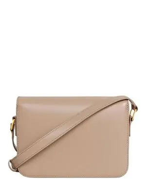 Celine CELINE Teen Triomphe Leather Crossbody Bag Multicolor