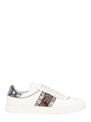 Roberto Cavalli Calfskin Low-top Sneakers - Ivory