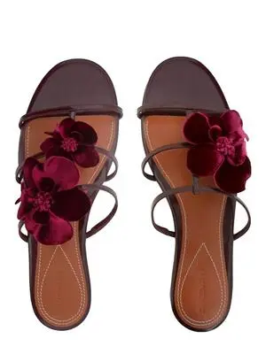 Zimmermann ZIMMERMANN Orchid Leather Flat Sandals Multicolor