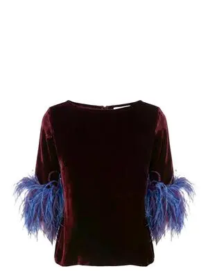 STEPHAN JANSON Stephan Janson Velour Blouse With Feather Trim