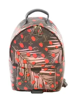 LOUIS VUITTON Palm Springs Pm Backpack - Brown