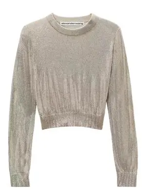 Alexander Wang Embellished Crewneck Long Sleeve Crop Top - Silver