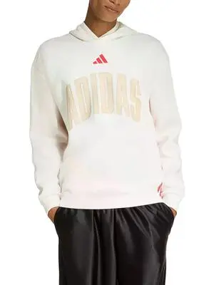 Adidas Stadium Graphic Hoodie - Neutrals