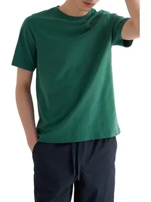 SEASALT CORNWALL Merthen T-shirt - Ruscus Leaf