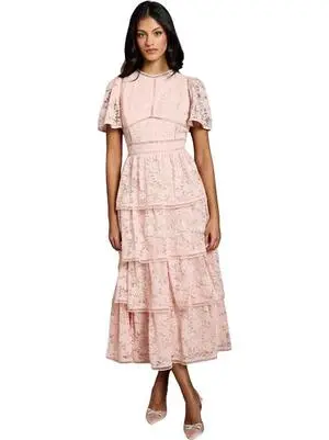 Coast Coast Petite Lace Tiered Midi Dress Blush