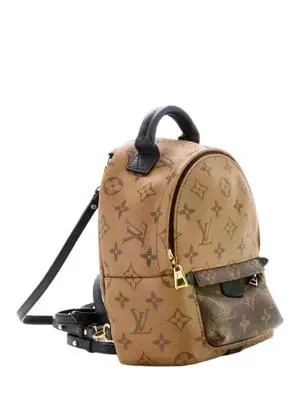 LOUIS VUITTON Palm Springs Mini Backpack - Brown