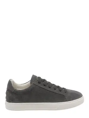 TOD'S TOD'S Beige Suede Lace-Up Sneakers Gray