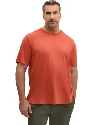 Brooks Brothers Big & Tall Supima Cotton T-shirt Rust