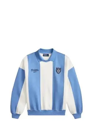 Polo Ralph Lauren Striped Panelled Polo Top - Blue