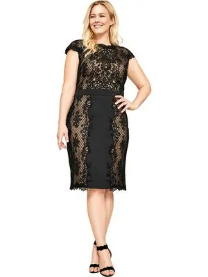 Tadashi Shoji Alexandra Embroidered Lace Dress - Black/nude