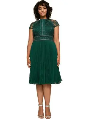 Tadashi Shoji Zivan Flared Lace Dress - Pine