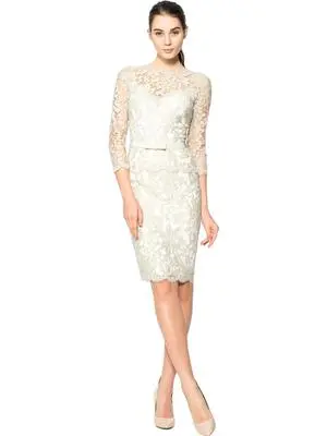Tadashi Shoji Illusion Lace Three-quarter Sleeve Dress Petite - Feather