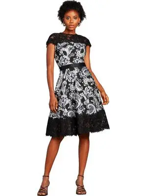 Tadashi Shoji Yaren Lace & Paisley-motif Jacquard Fit & Flare Dress - Silver/black