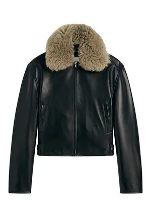 PHOEBE PHILO PHOEBE PHILO Cropped Leather Aviator Jacket With Shearling Collar