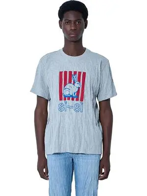 Bottega Veneta Crushed Sisi T-shirt - Gray
