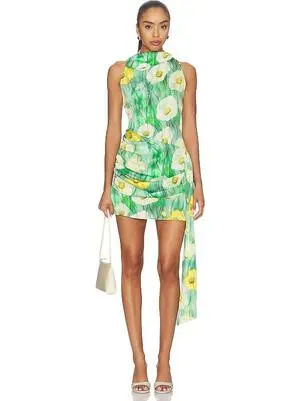 CURAAE BY ELLIATT Lilia Highneck Mini Dress - Multi