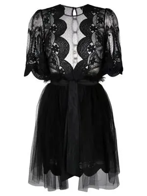 Elisabetta Franchi Lace-panelled Tulle Mini Dress - Black