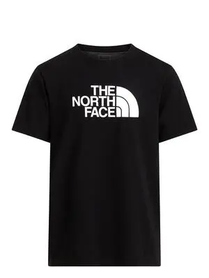 The North Face Evolution Half Dome Regular Tee - Black