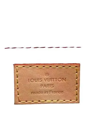 LOUIS VUITTON Monogram Montsouris Backpack - Brown