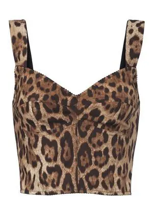 Dolce & Gabbana Leopard-print Bustier Top - Brown