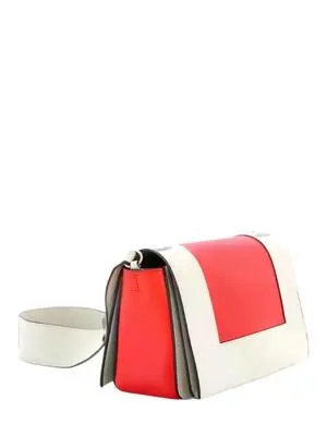 Celine Frame Leather Medium Shoulder Bag - Multicolour