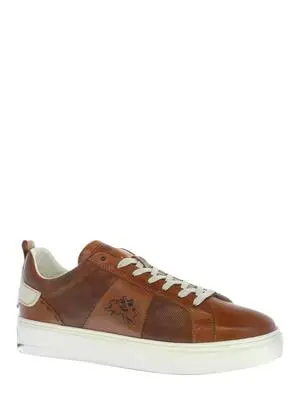 LA MARTINA Cupsole Leather Sneakers - Brown