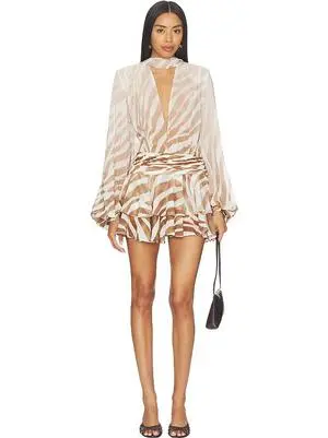 BRONX BANCO Zebra Print Chiffon Mini Dress - Brown Multi