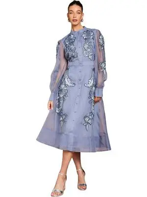 Coast Embroidered Sheer Sleeve Midi Dress - Blue