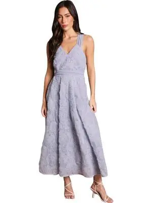 Coast Embroidered Tie Back Maxi Dress - Pale Blue