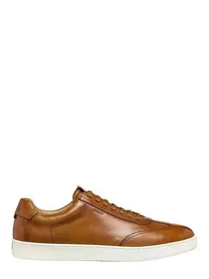 Geox Regio Leather Sneakers - Brown