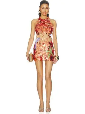 Retrofete Dorothy Embroidered Dress In Multi - Geranium & Multi