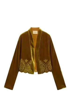 Momoni Embroidered Velvet Jacket - Brown