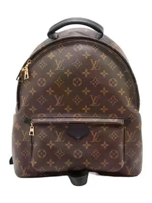 LOUIS VUITTON 2019 Monogram Palm Springs Mm Backpack - Brown