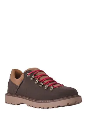 UGG Birch Hiker Shoe - Dusted Cocoa