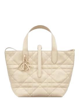 Dior Small Vertical Handbag - Nude