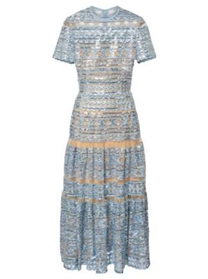 Elie Saab Embroidered Tulle Maxi Dress - Gray
