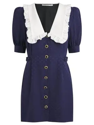 Alessandra Rich Silk Jacquard Mini Dress - Navy