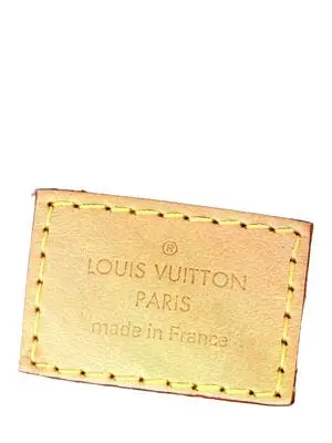 LOUIS VUITTON Monogram Canvas Belt Bag - Brown