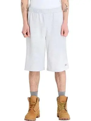 Dickies 13-inch Track Shorts - Grey