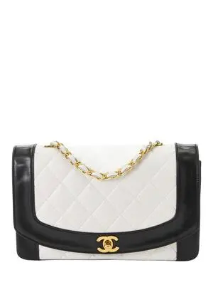 Chanel Classic Flap Medium Lambskin Bag - Multi