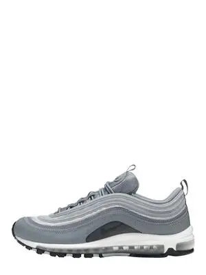 Pure Platinum/racer Blue (grey)